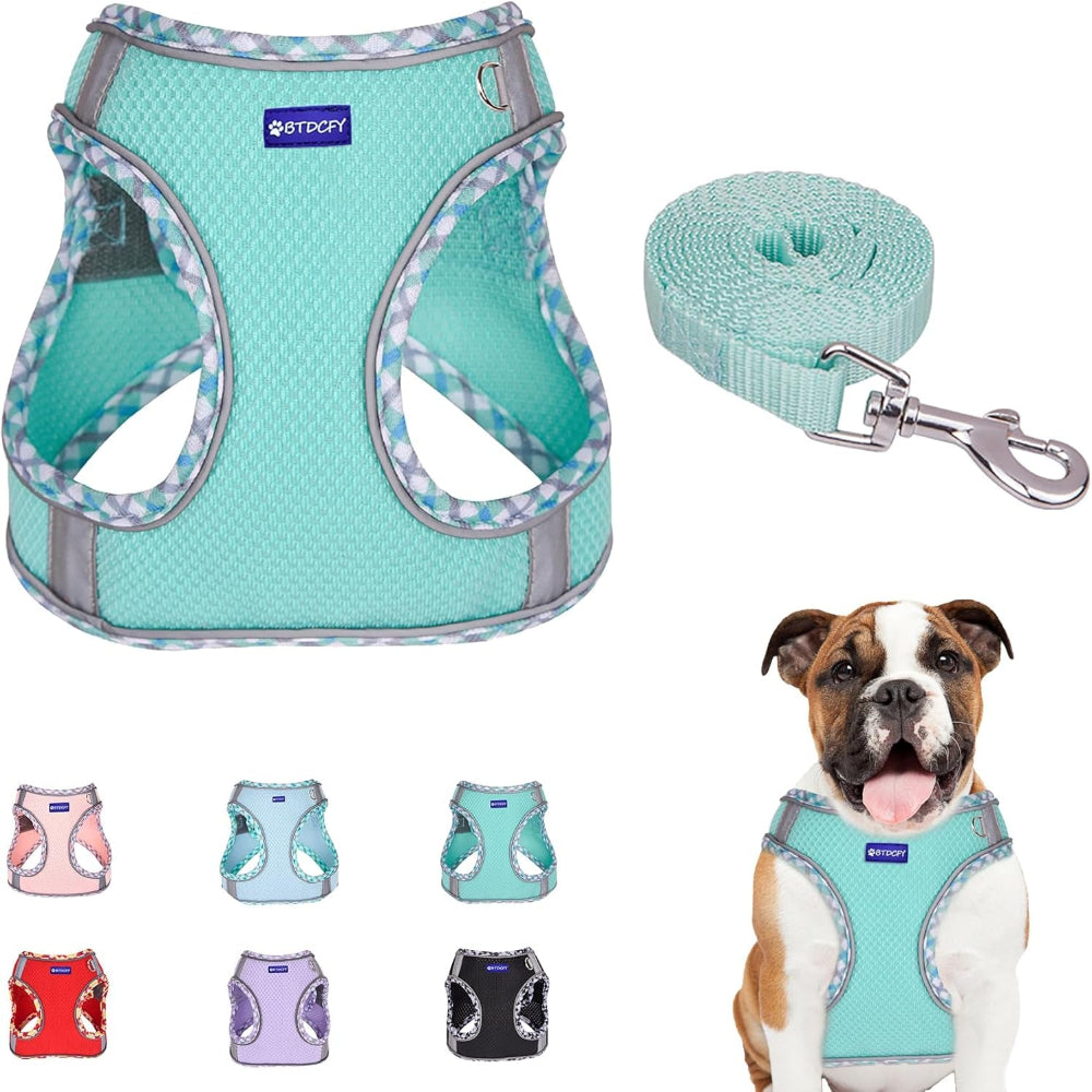 Step in Mesh Dog Harness Vest and Leash Set - Breathable Air Mesh - Re ...